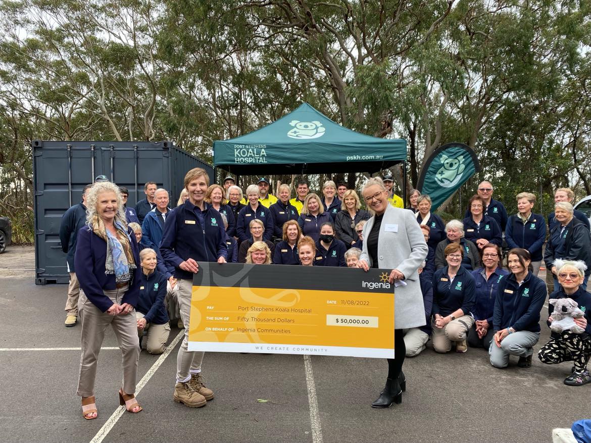 Port Stephens koala conservation backed through dedicated partnership ...